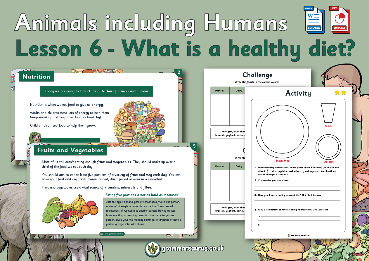 Year 2 Science - Animals including Humans - What is a Healthy diet ...