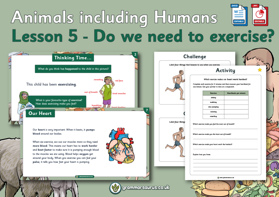 Year 2 Science - Animals including Humans - Do we need to Exercise ...
