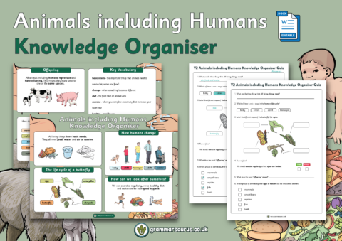 Year 2 Science - Animals including Humans - Knowledge Organiser ...