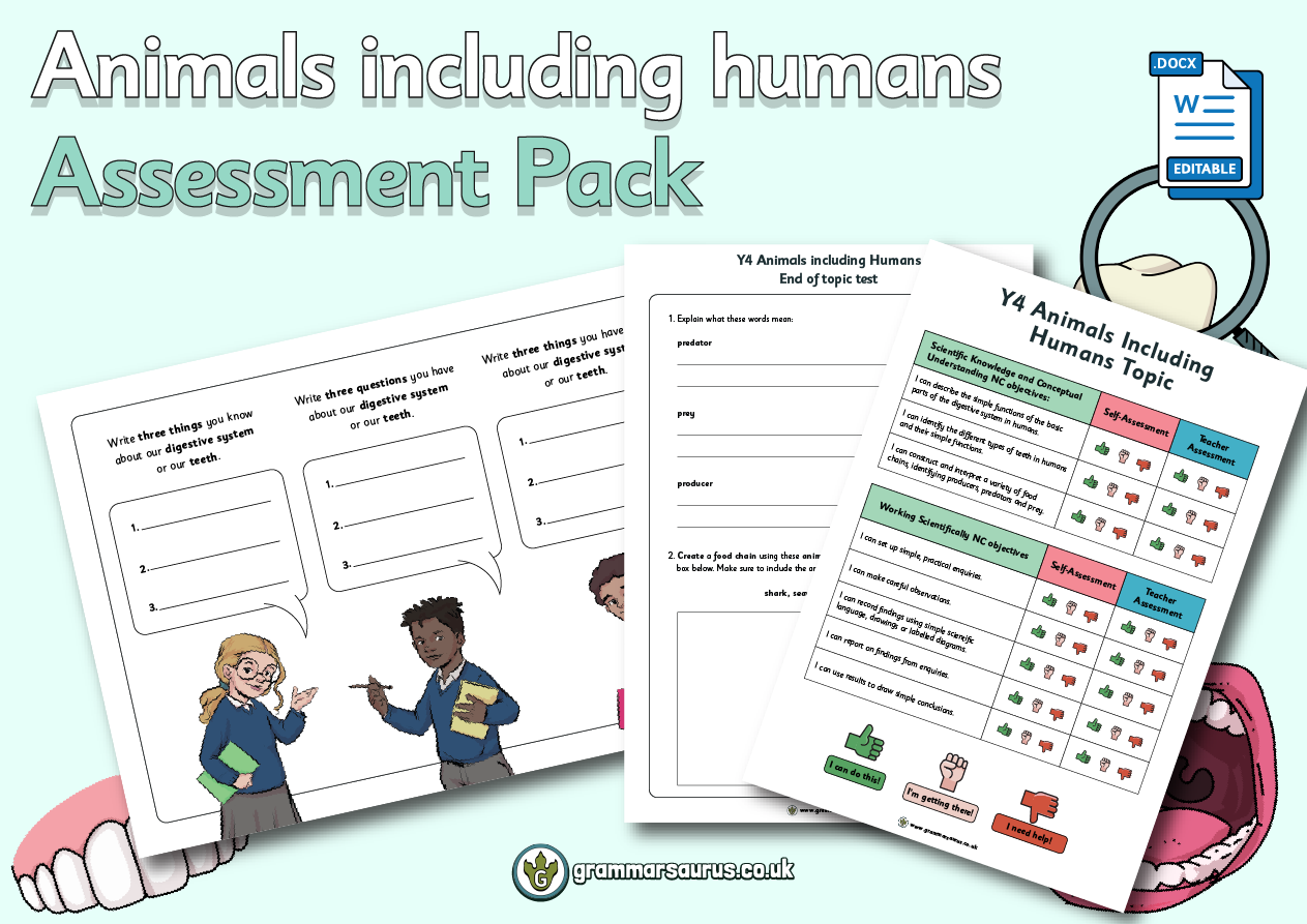 Year 4 Science - Animals including Humans - Assessment Pack - Grammarsaurus