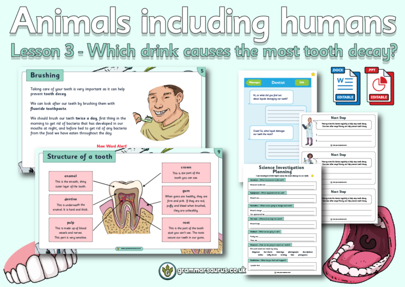Year 4 Science - Animals including Humans - What drink causes the most ...