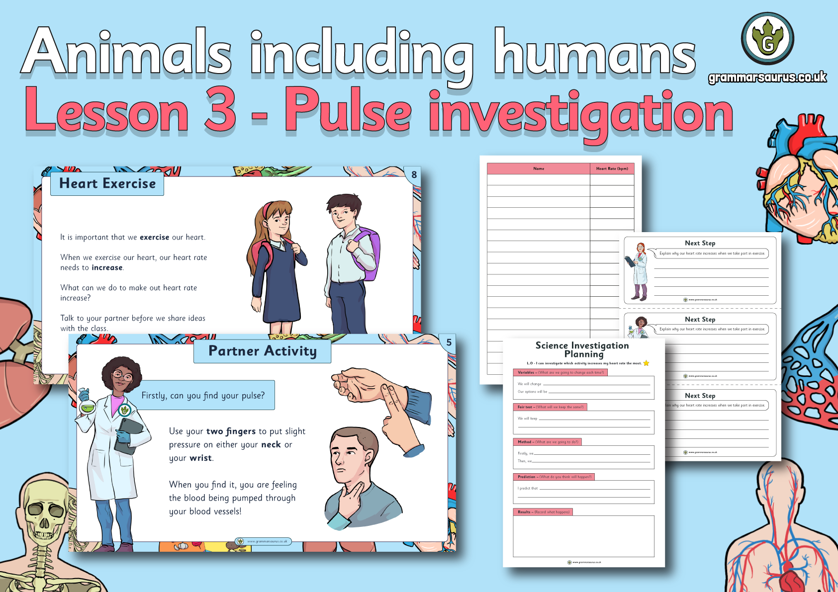 website ad copy 2 - Grammarsaurus