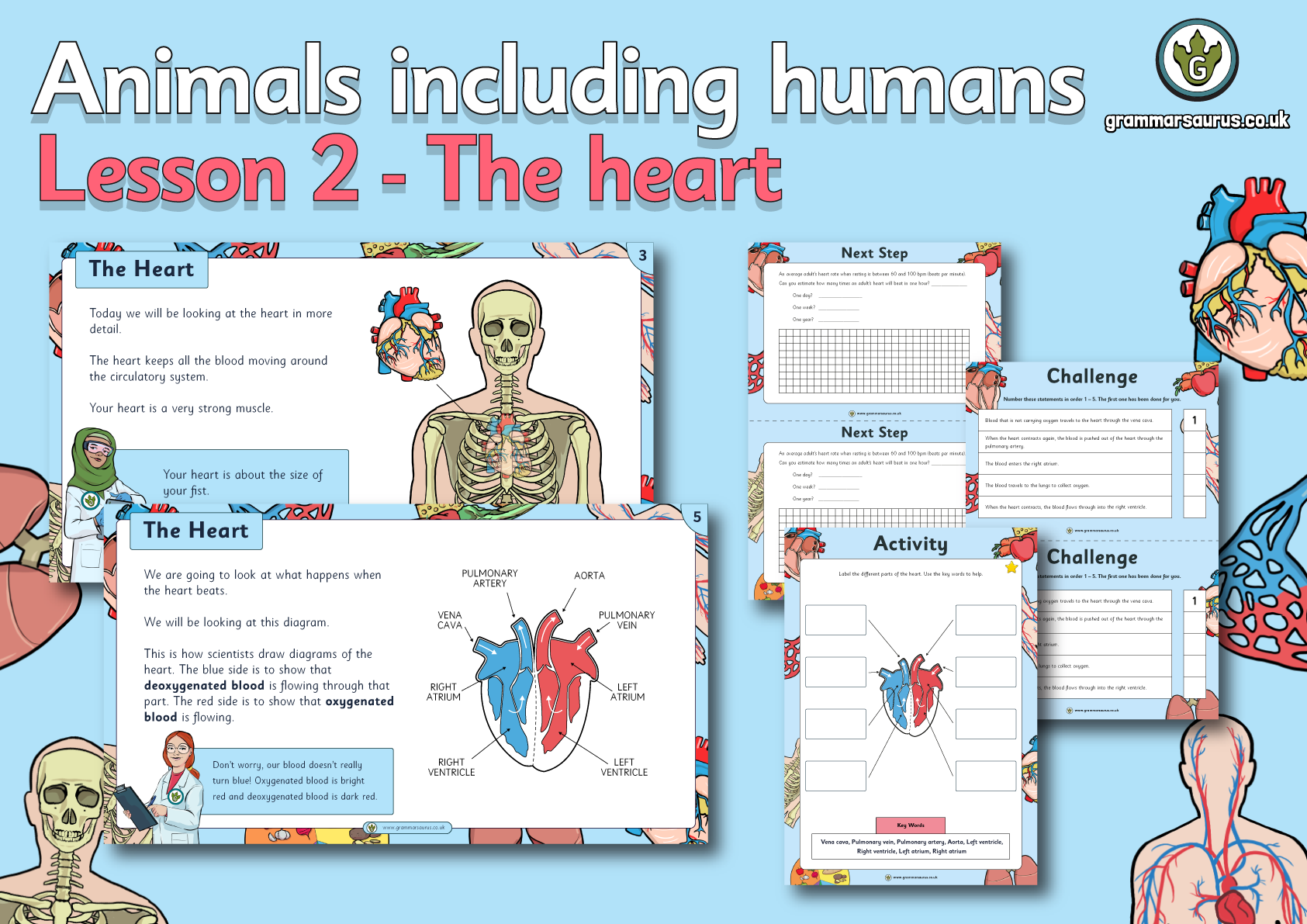 website ad copy - Grammarsaurus