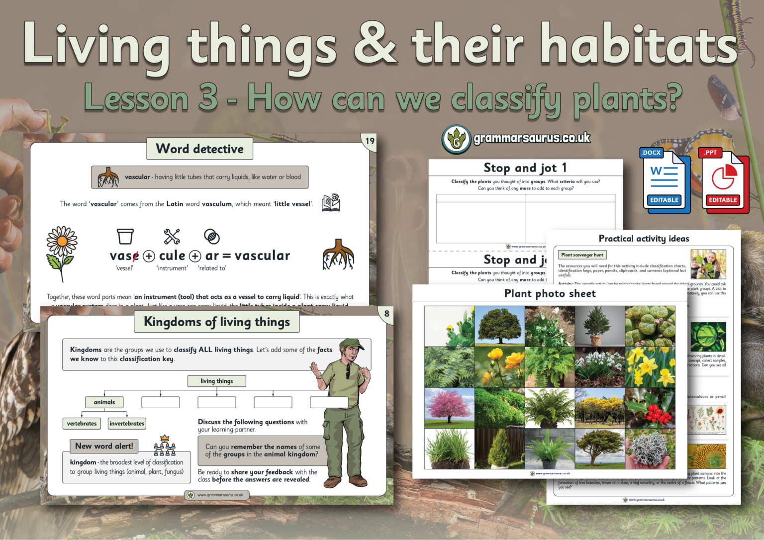 Year 6 Science - Living Things and their Habitats - How can we classify ...