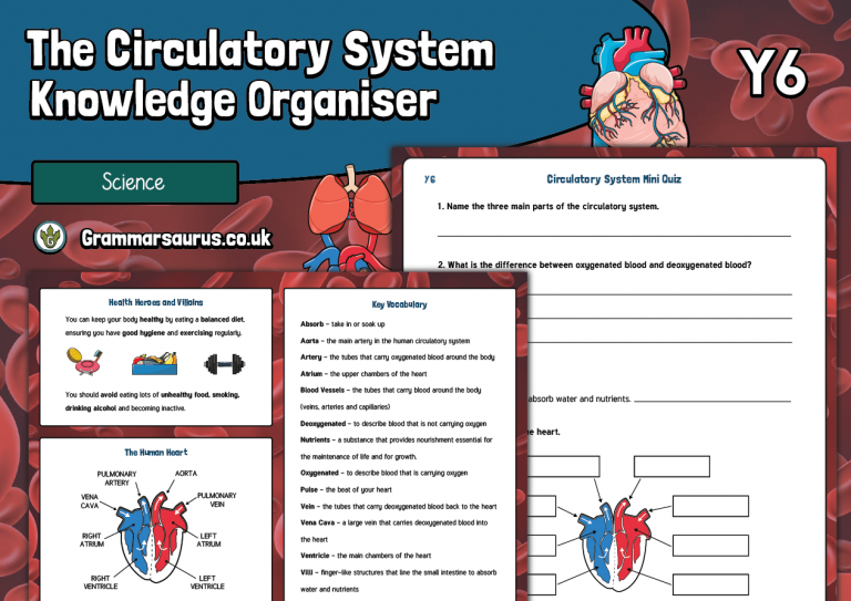 Year 6 Animals including Humans - Grammarsaurus