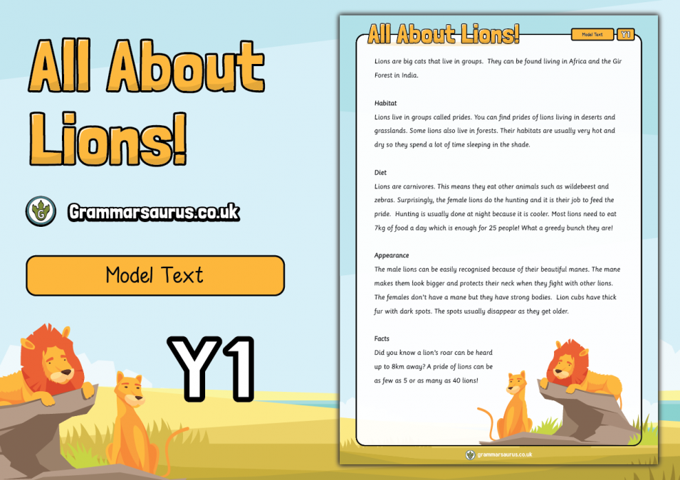 Year 1 - Model Text - Non-Chronological Report - Lions - Grammarsaurus