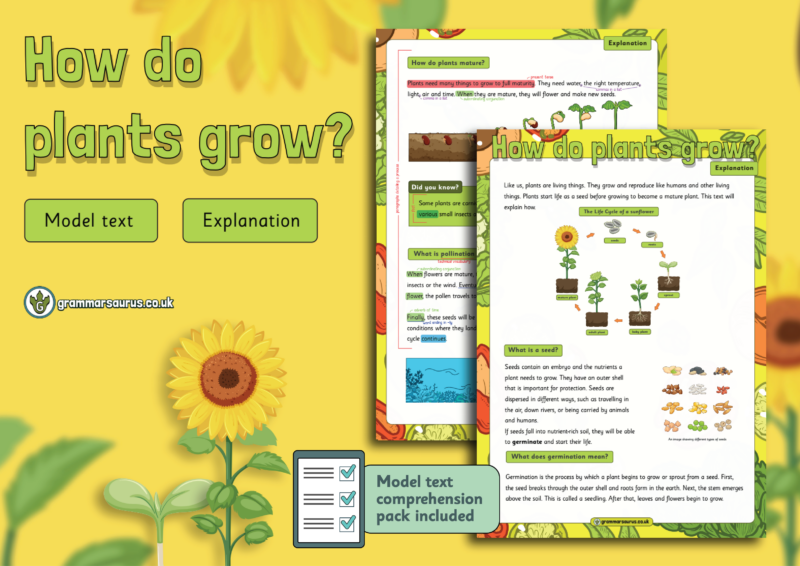 Year 3 Model Text - Explanation - How do plants grow? - Grammarsaurus