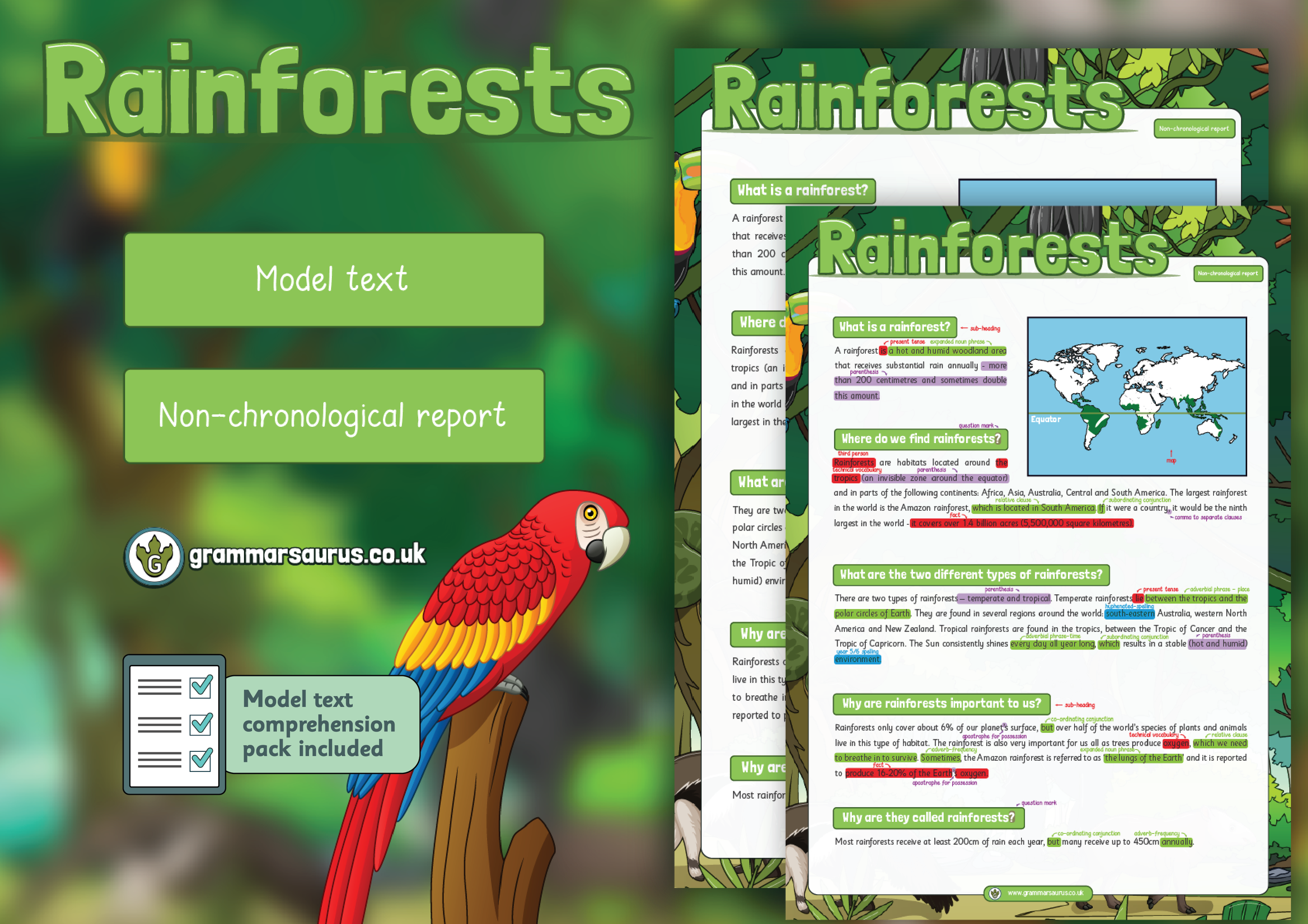 Year 6 Model Text - Non-chronological Report - Rainforests - Grammarsaurus