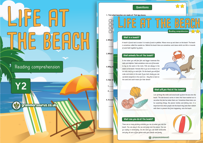 Beach Ad - Grammarsaurus