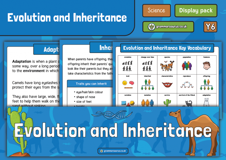 Year 6 Science - Evolution - Display Pack - Grammarsaurus