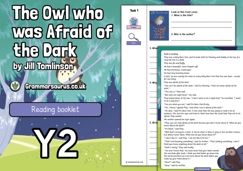 Year 2 Shared Reading Booklet - "The Owl who was Afraid of the Dark" by ...