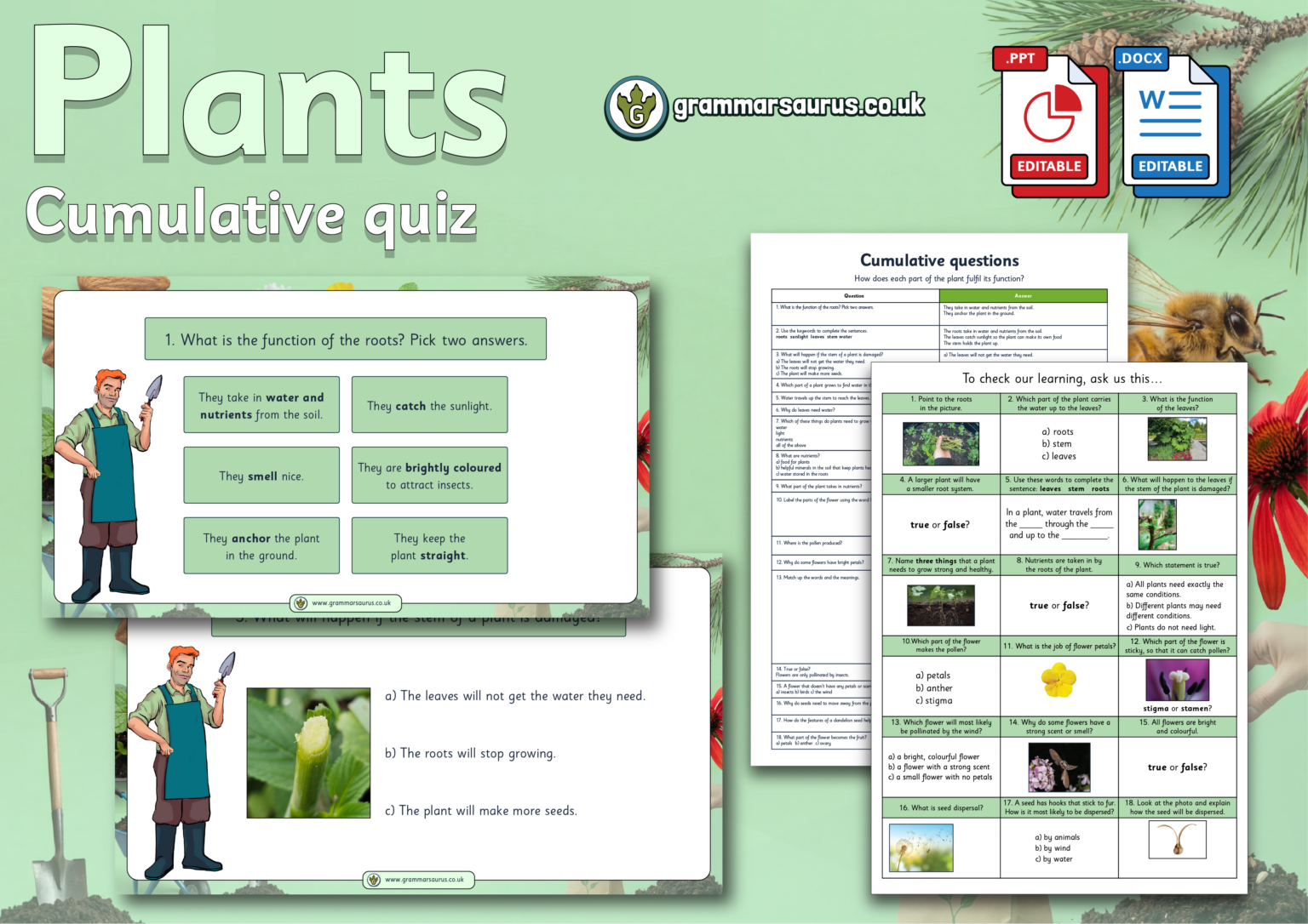 Year 3 Science - Plants - Cumulative quiz - Grammarsaurus
