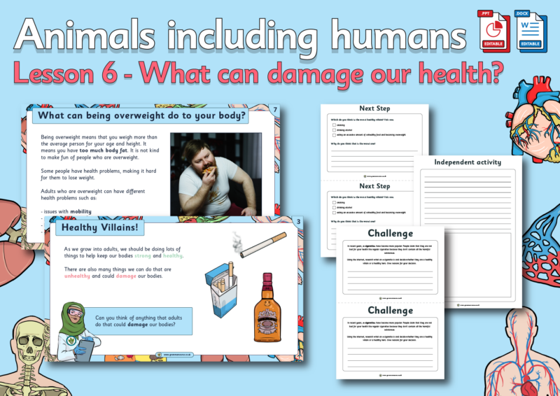 Year 6 Science - Animals Including Humans - What can damage our health ...