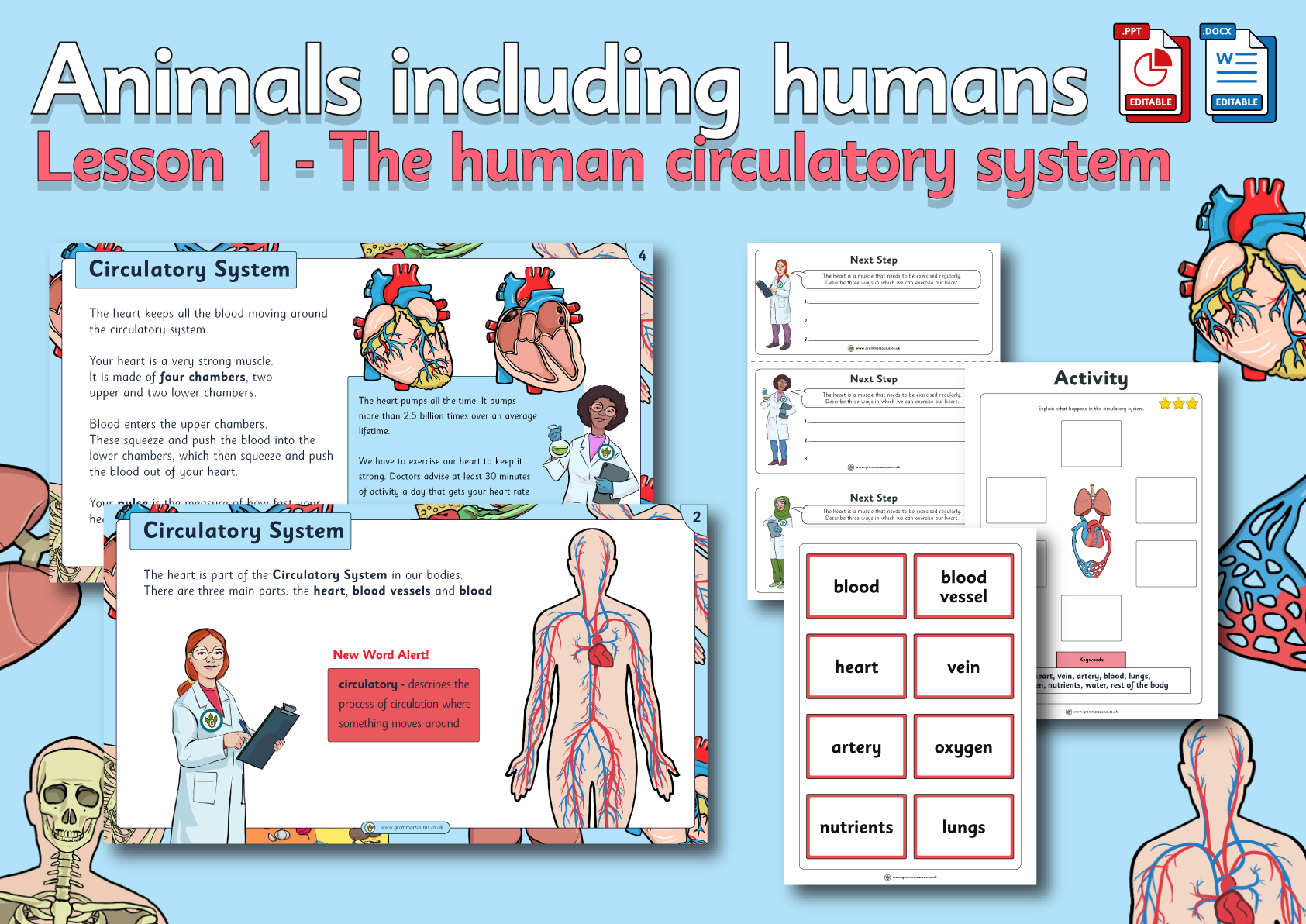 website ad (61) - Grammarsaurus