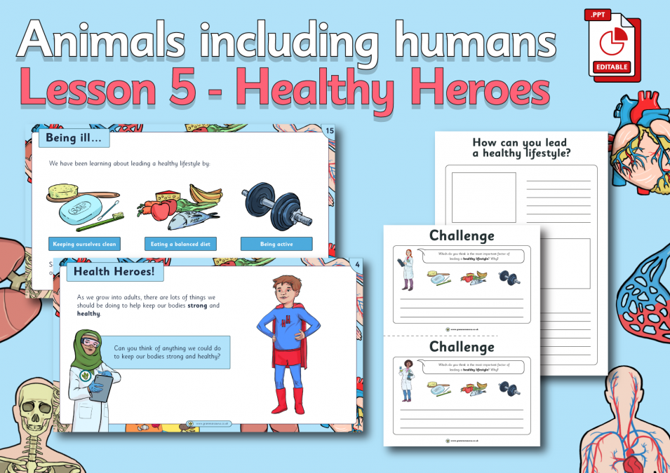Year 6 Science - Animals including Humans – Healthy Heroes - Lesson 5 ...