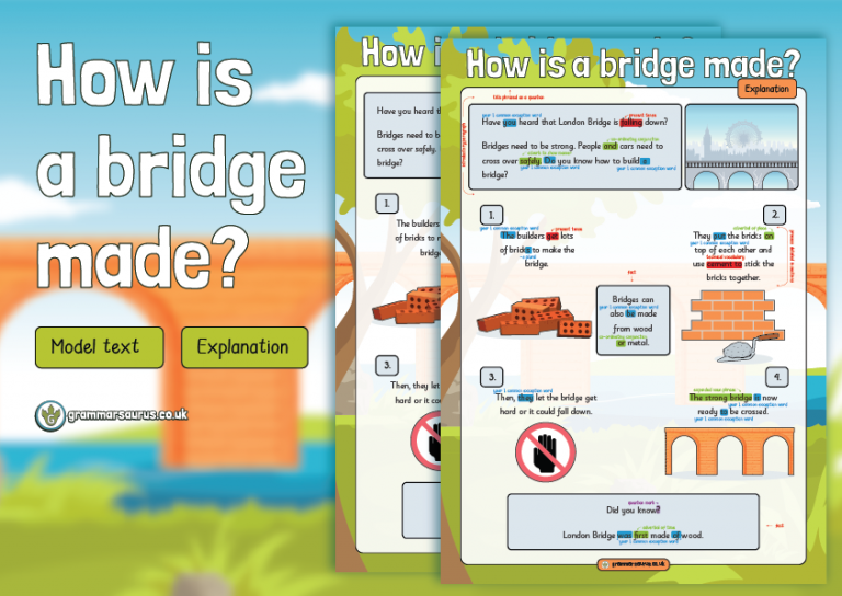 Year 1 Model Text – Explanation – How is a bridge made? - Grammarsaurus
