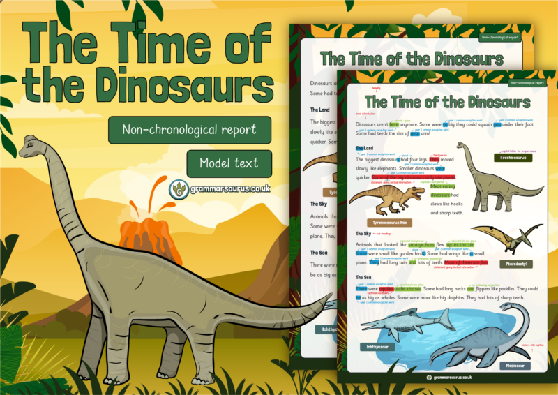 Year 1 Model Text – Non-chronological report – The Time of the ...