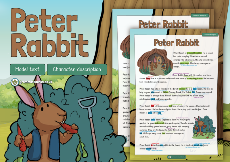 Year 2 Model Text – Character description – Peter Rabbit - Grammarsaurus