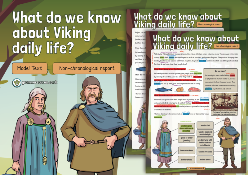 Y4 Viking Daily Life Ad (1) - Grammarsaurus