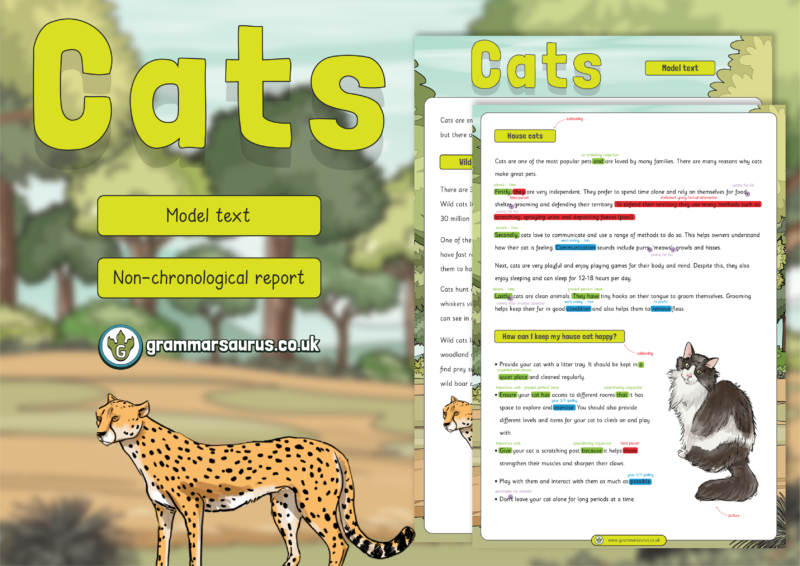 Year 4 Model Text - Non-chronological report - Cats - Grammarsaurus