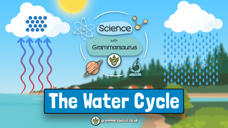 Science with Grammarsaurus – The Water Cycle - Grammarsaurus