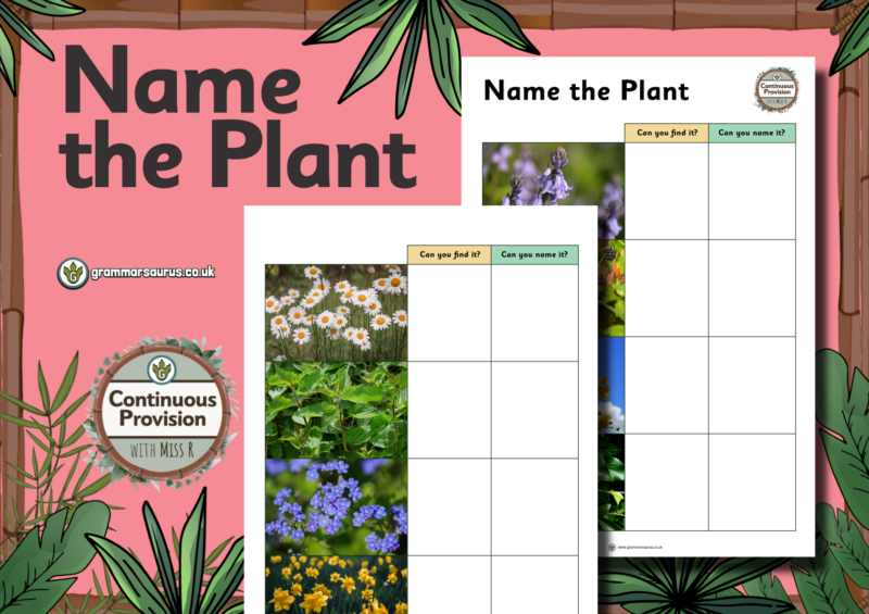 Continuous Provision - Investigation - Name the Plant - Grammarsaurus