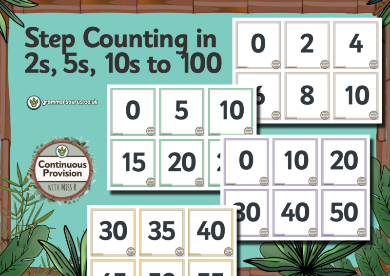 Continuous Provision - Maths - Step Counting in 2s, 5s, 10s to 100 ...