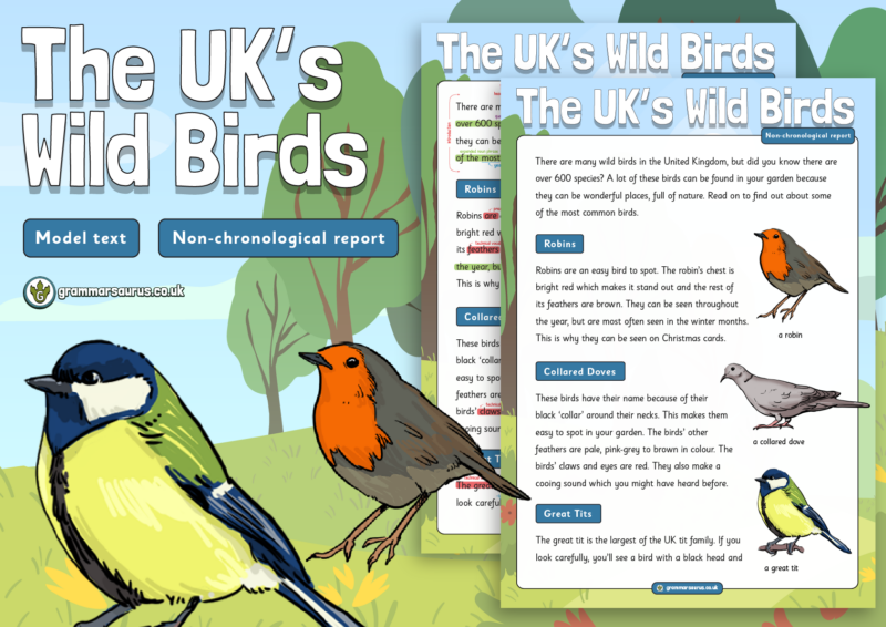 Year 2 Model Text - Non-chronological report - The UK's Wild Birds ...