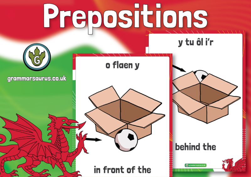 Welsh Prepositions Display Pack - Grammarsaurus