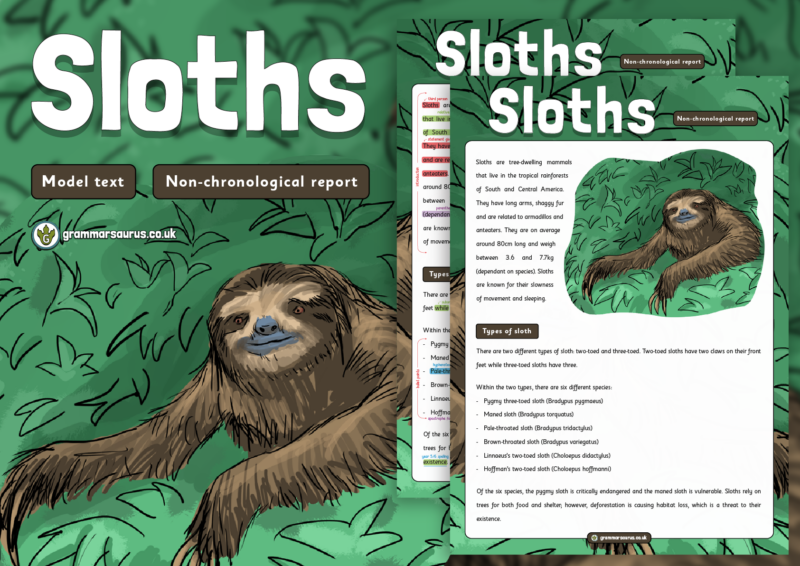 Year 6 Model Text – Non-chronological report – Sloths - Grammarsaurus