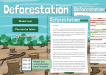 Year 4 Model Text – Persuasive letter – Deforestation - Grammarsaurus