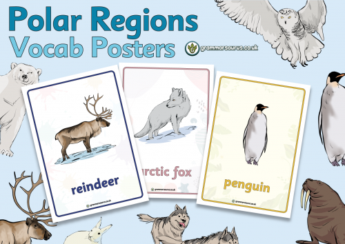 Polar Regions - Vocab Posters - Grammarsaurus