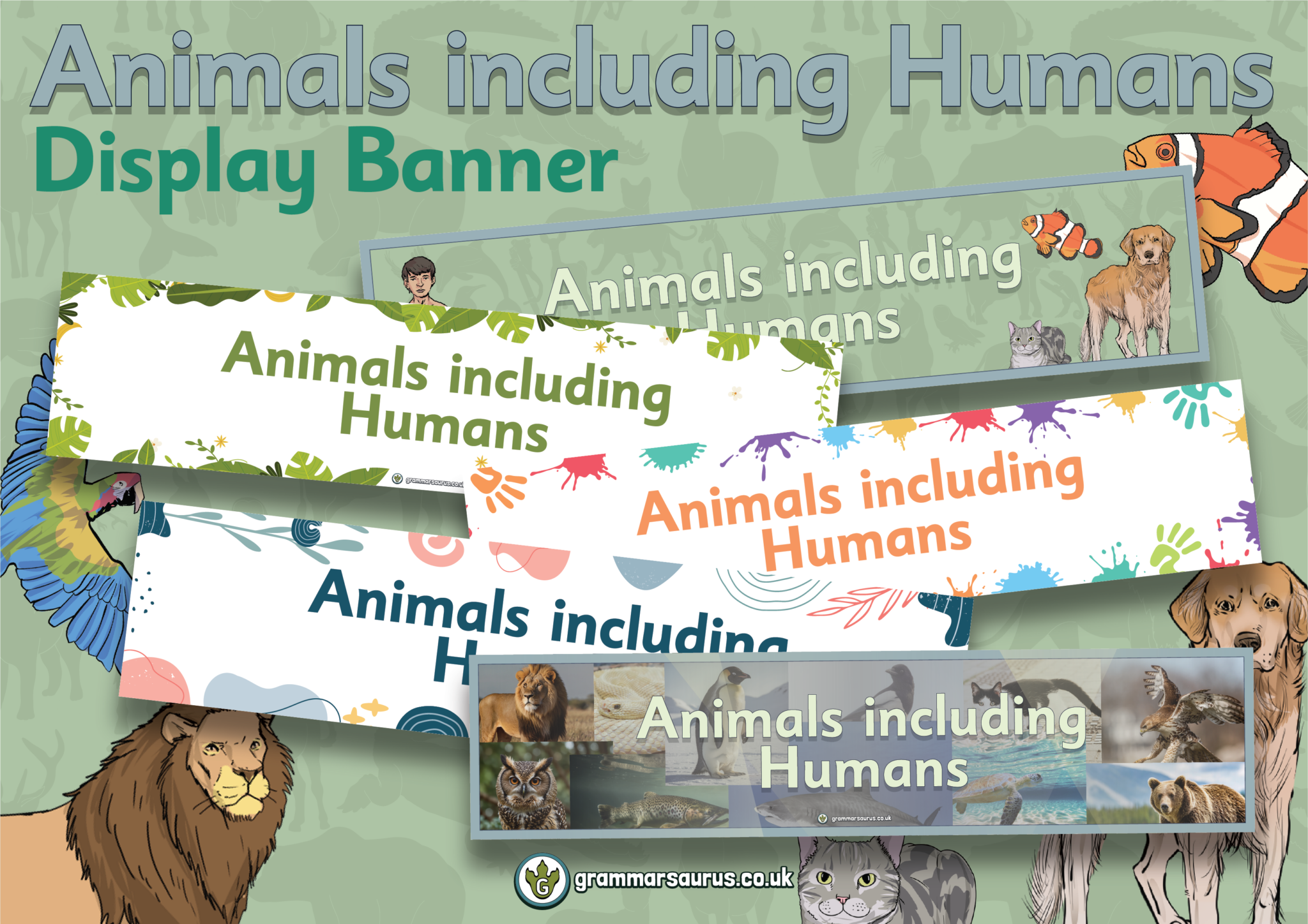 Year 1 Science - Animals including Humans - Display Banner - Grammarsaurus