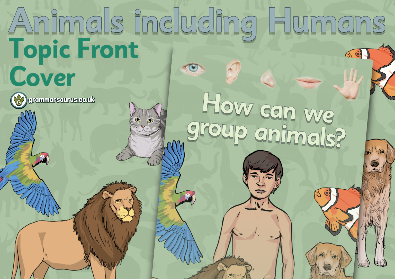 Year 1 Science - Animals including Humans - Topic Front Cover ...