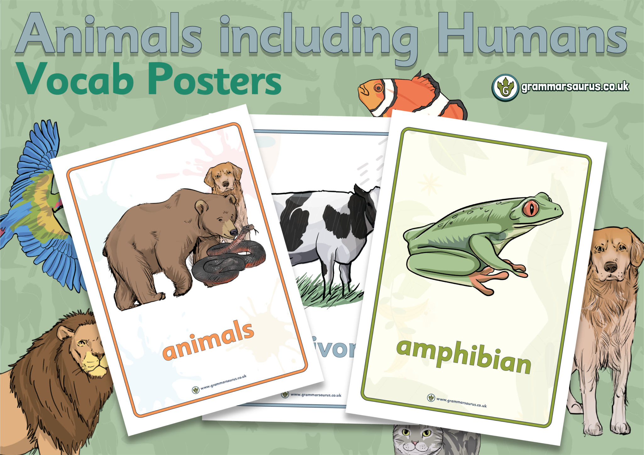 Year 1 Science - Animals including Humans - Vocab Posters - Grammarsaurus