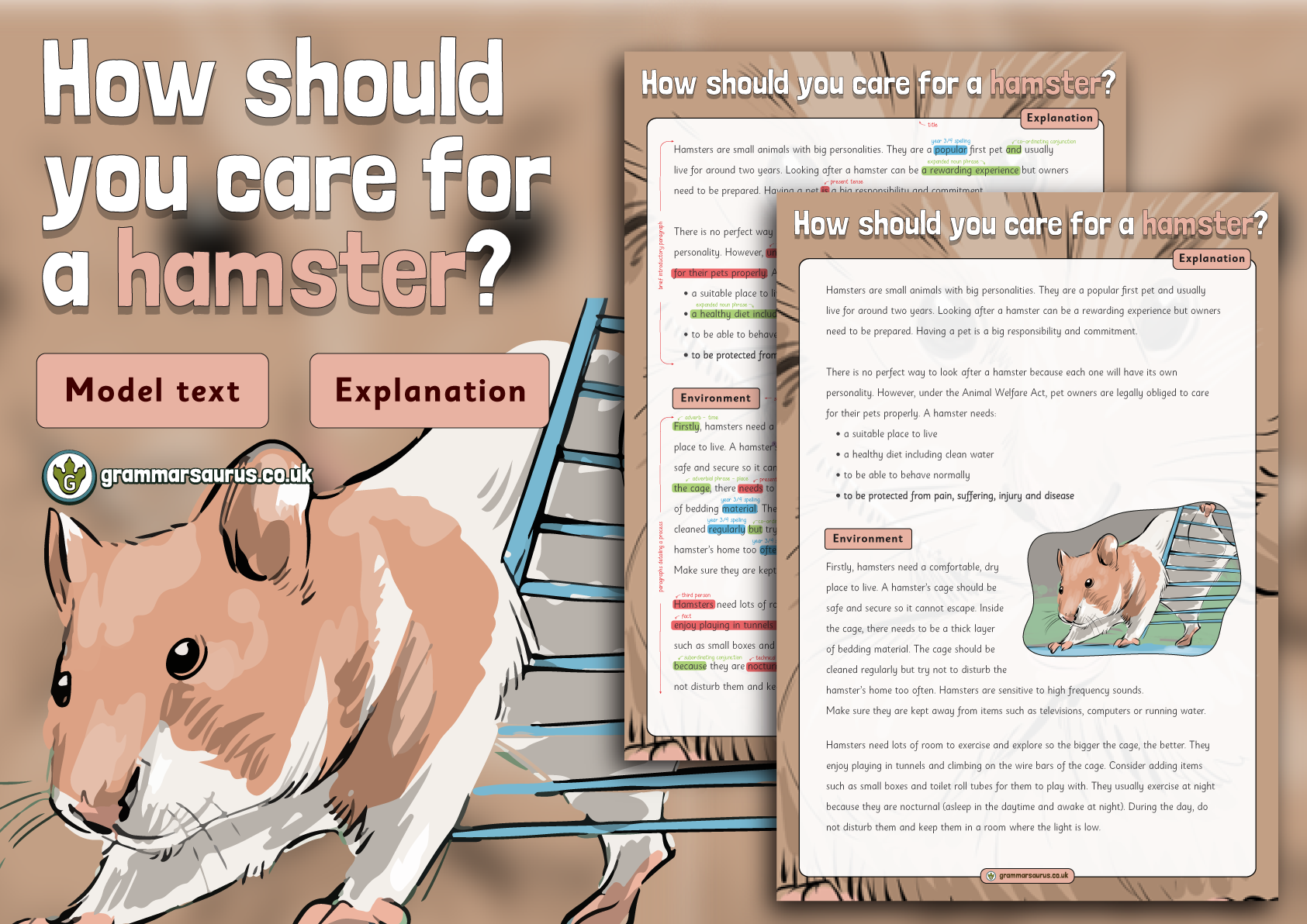 Year 3 Model Text – Explanation - How should you care for a hamster ...