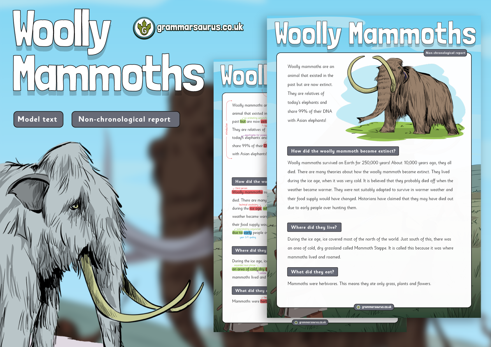 Year 3 Model Text – Non-chronological report - Woolly mammoths ...