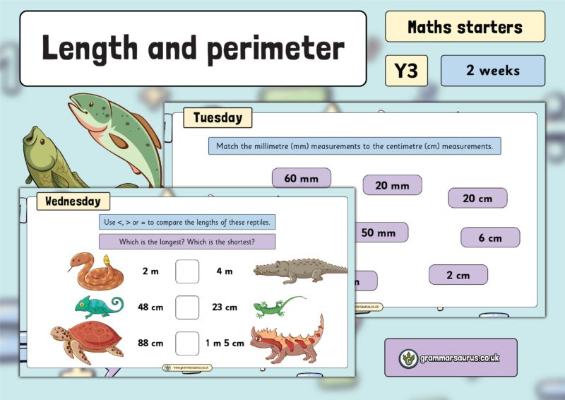 Year 3 Maths Starters – Length and Perimeter - Grammarsaurus