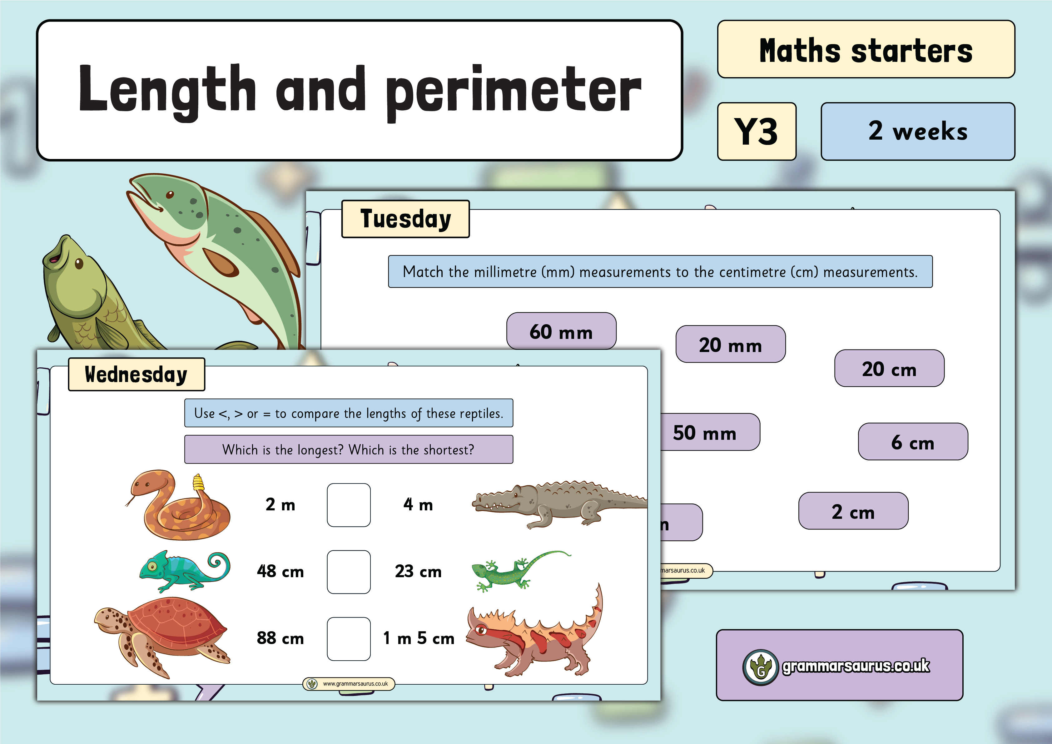 Year 3 Maths Starters – Length and Perimeter - Grammarsaurus