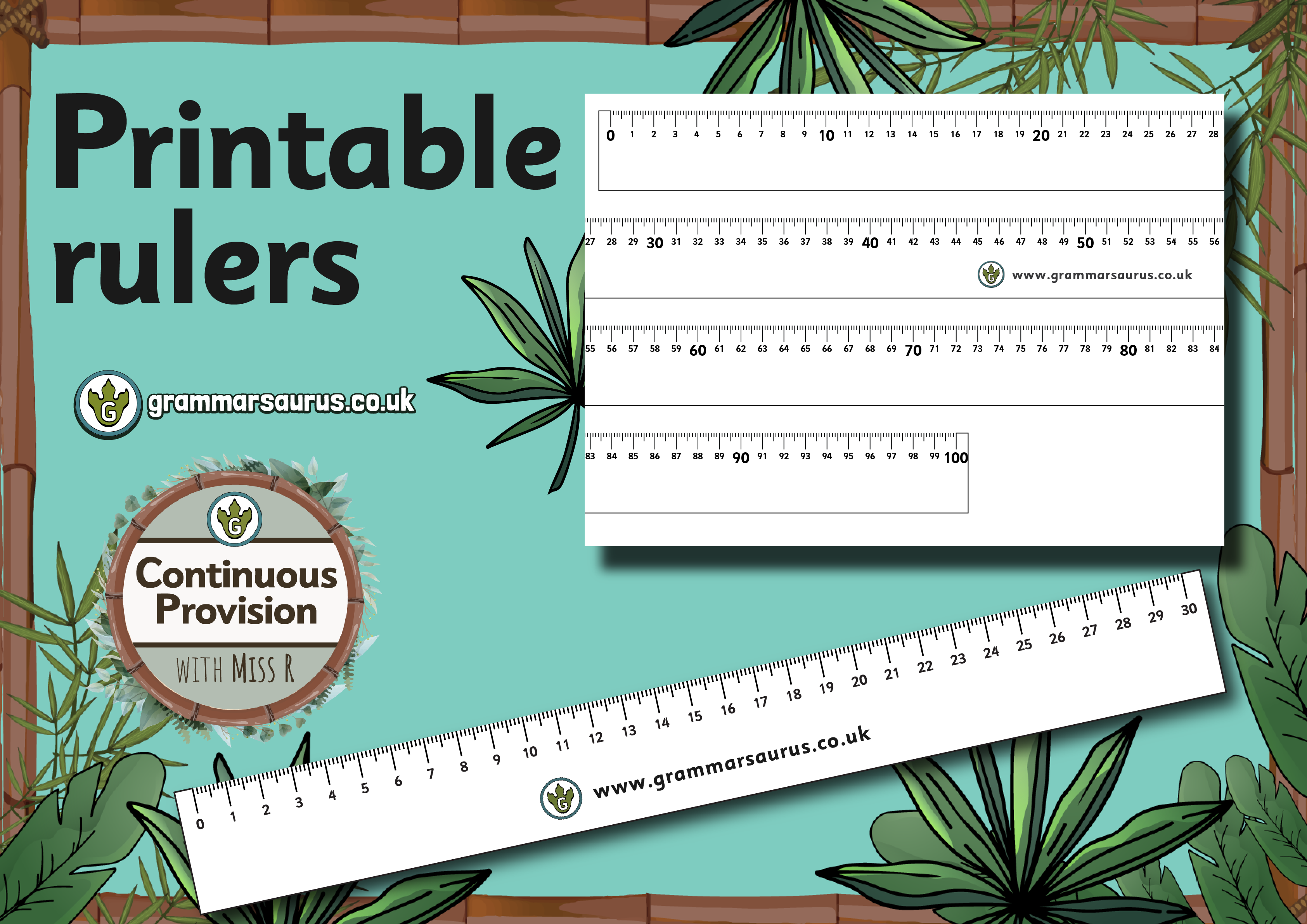 Continuous Provision - Maths - Printable rulers - Grammarsaurus