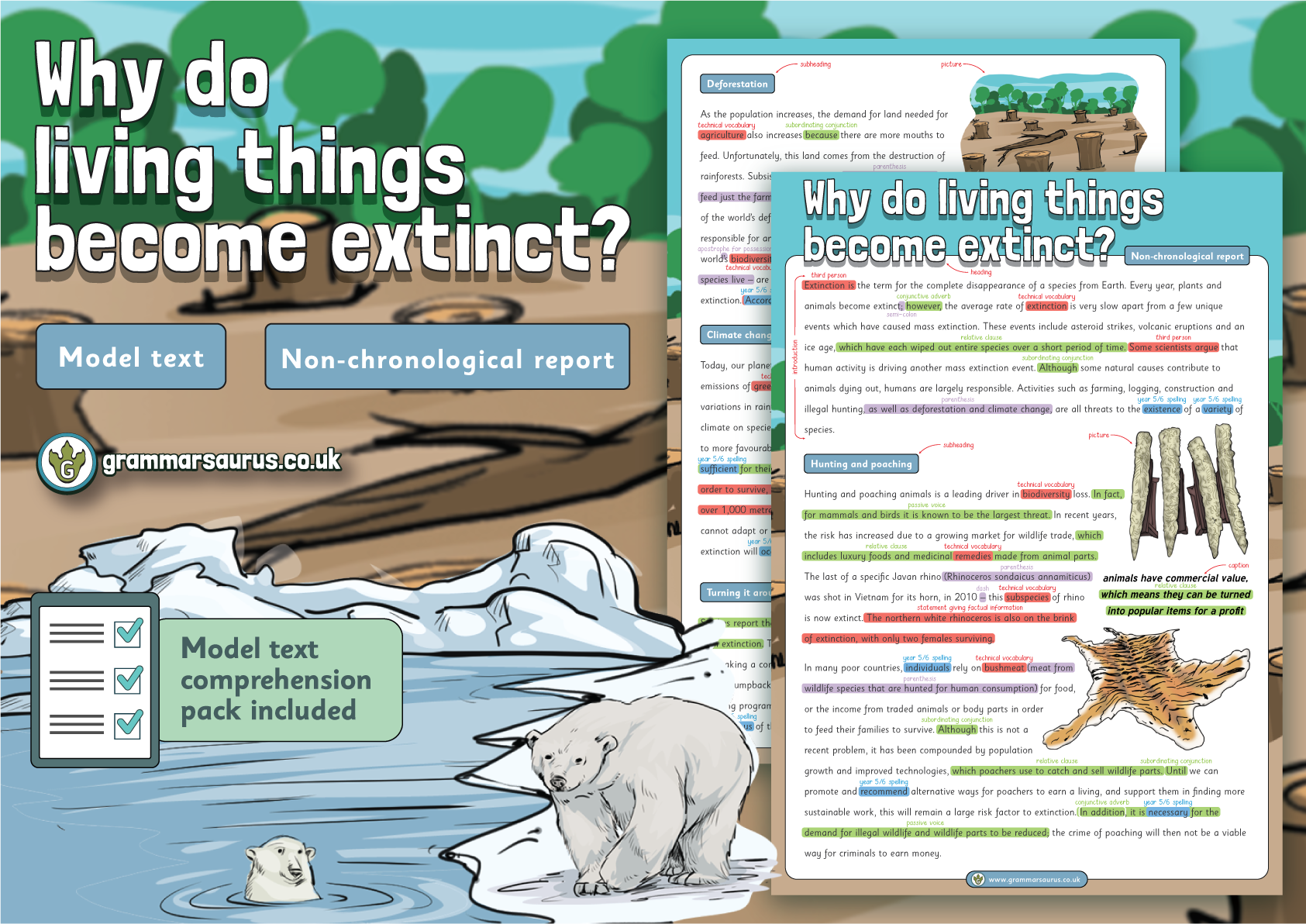 Year 6 Model Text – Non-chronological report - Why do living things ...