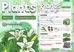 Year 3 Model Text - Non-chronological report - Plants ( gbsct P3 ...