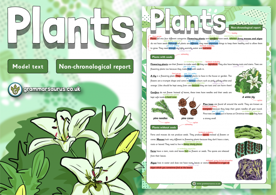 Year 3 Model Text - Non-chronological report - Plants ( gbsct P3 ...