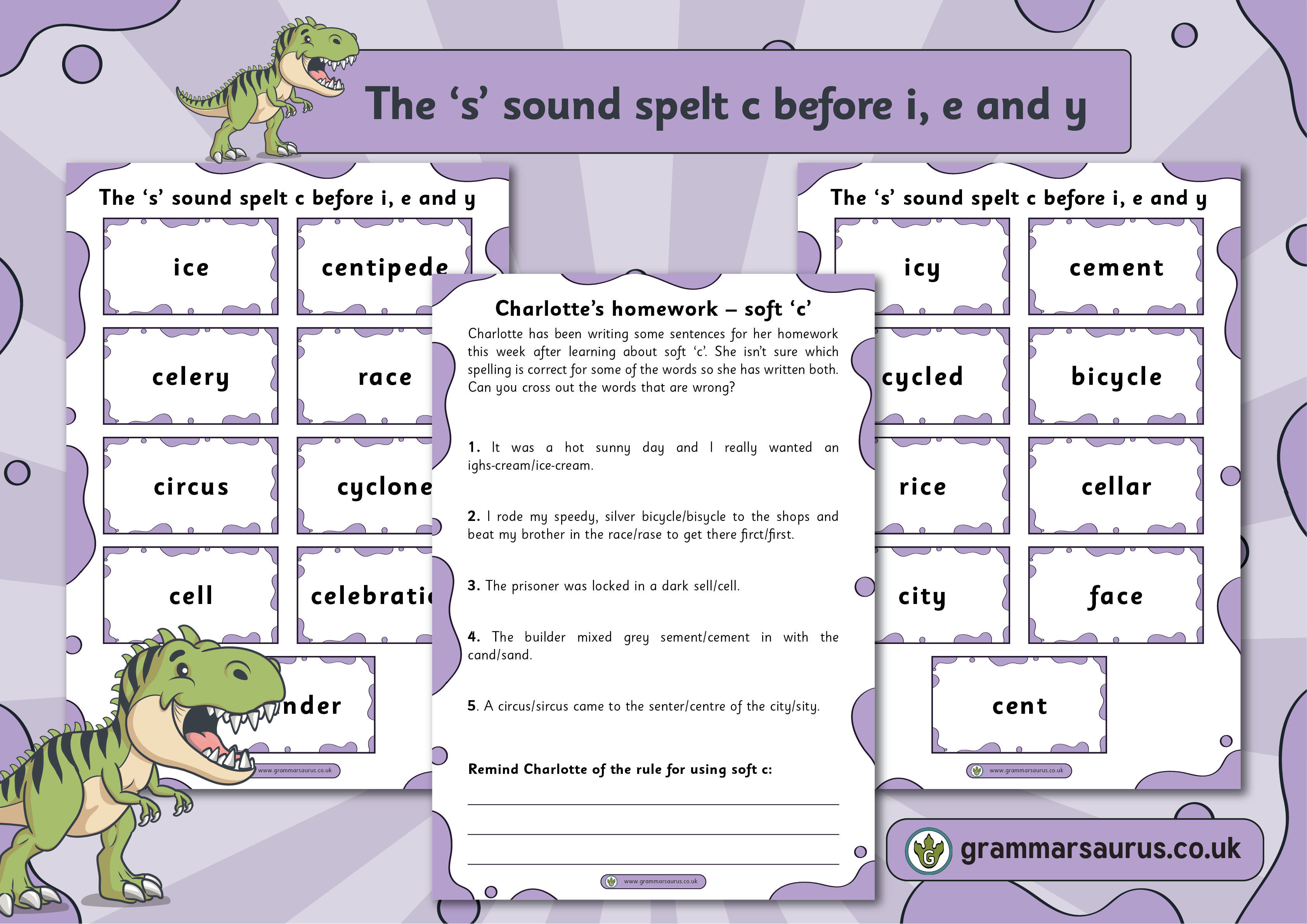 Phonics Phase 6 - The 's' sound spelt c before i, e and y - Grammarsaurus