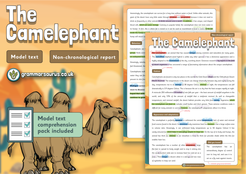 Year 6 Model Text – Non-chronological report - The Camelephant ...