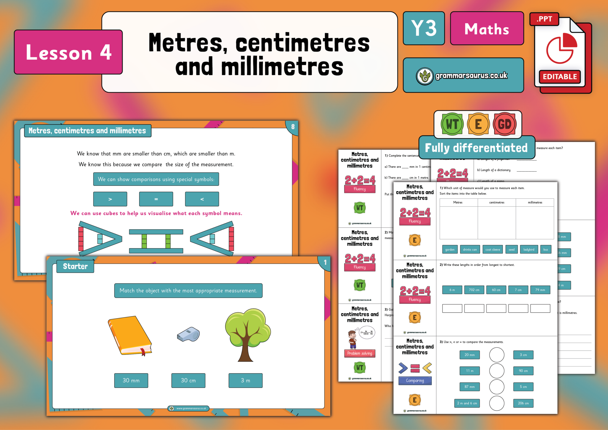 Year 3 Length and Perimeter - Metres, centimetres and millimetres ...