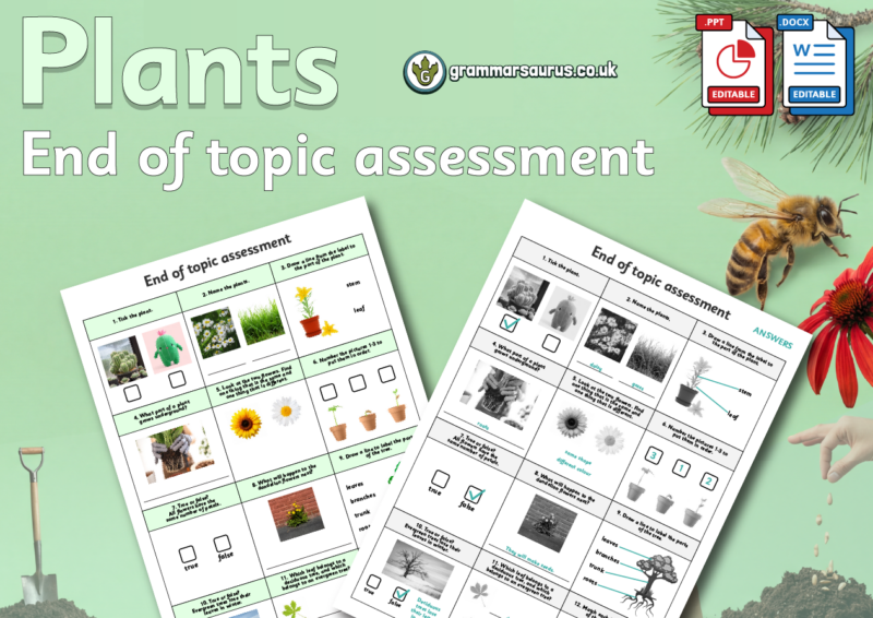 Year 1 Science - Plants - End of topic assessment - Grammarsaurus