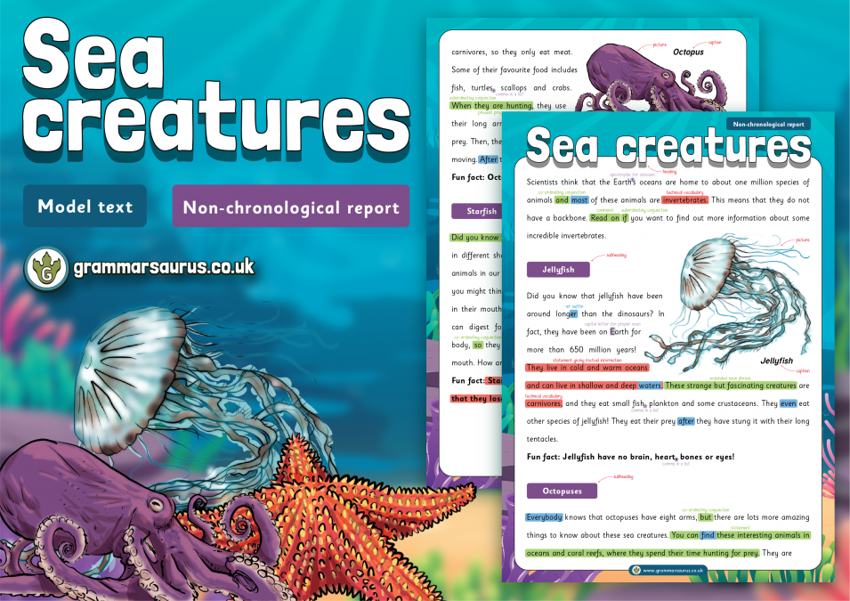 Year 2 Model Text - Non-chronological report - Sea creatures ( gbsct P2 ...