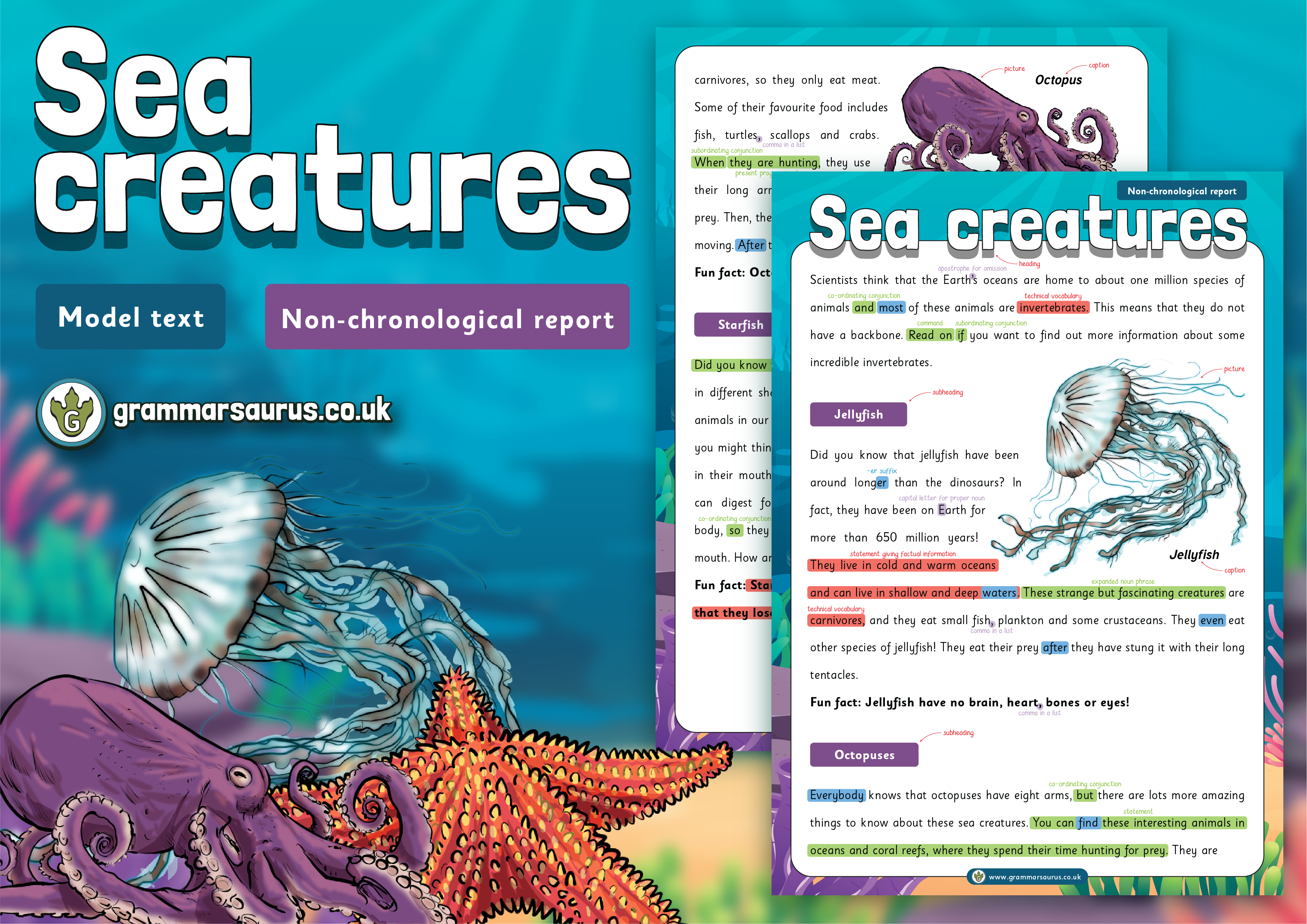 Ad (13) - Grammarsaurus