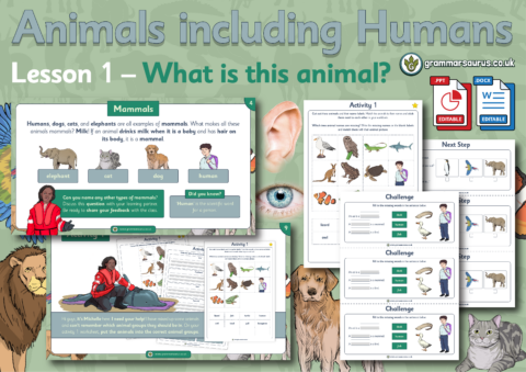 Year 1 Science - Animals including Humans - What is this animal? Lesson ...